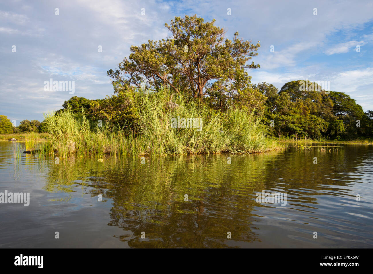 Landscape on the Islets of Granada, Nicaragua Stock Photo - Alamy
