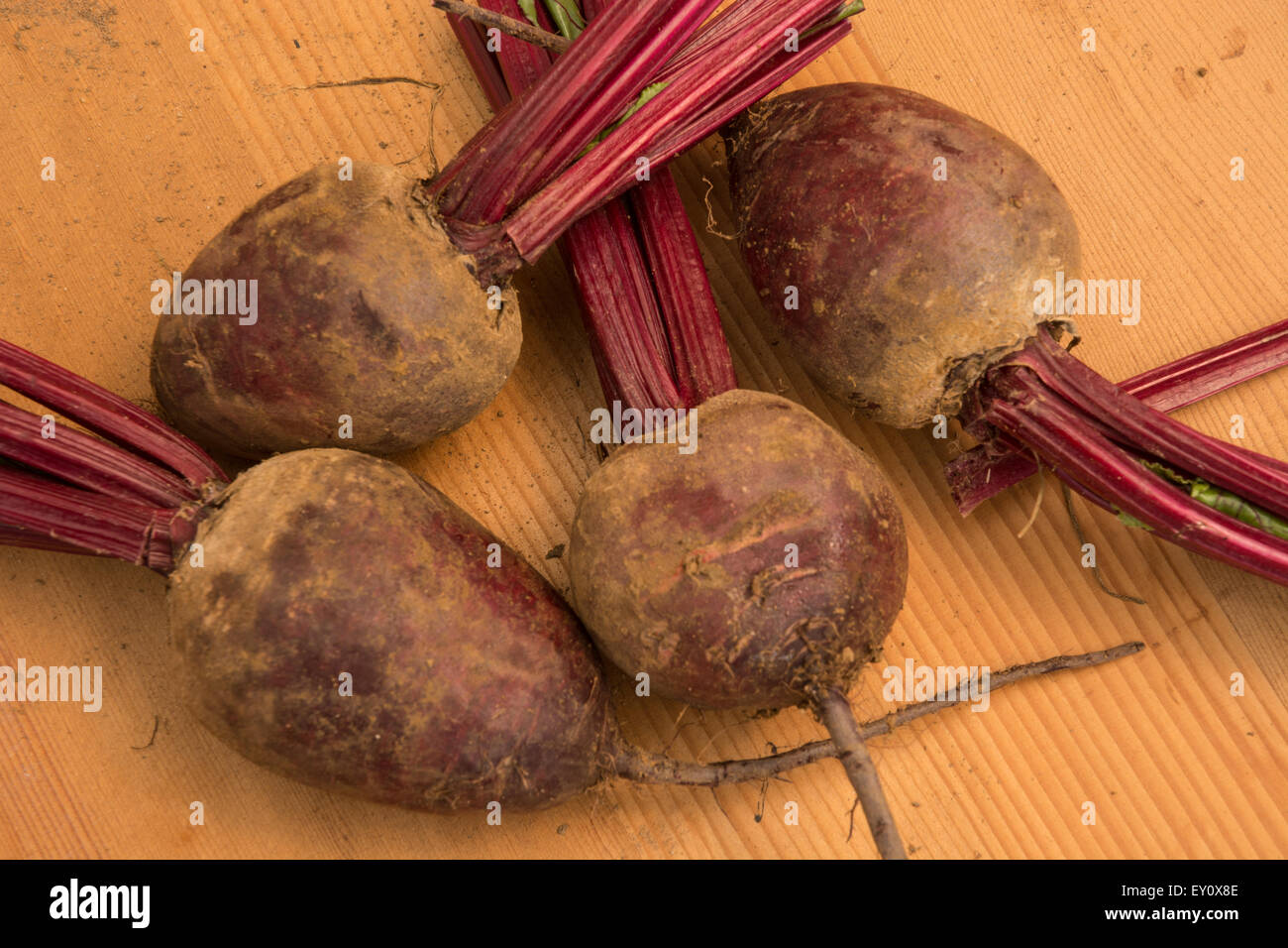 Beetroot roots hi-res stock photography and images - Alamy