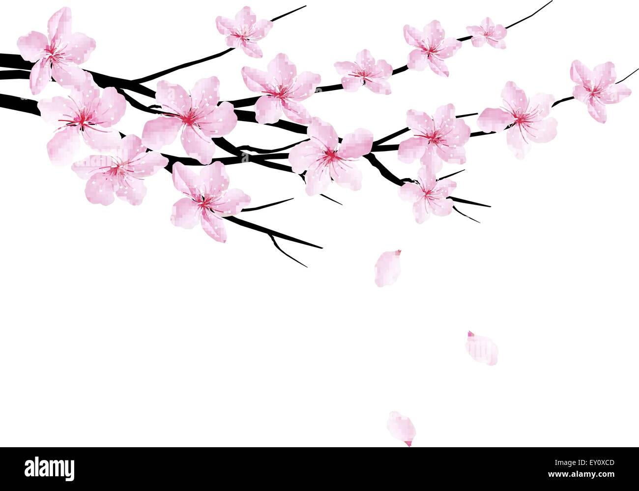 Spring background with blossom brunch of sakura. Vector Stock Vector ...