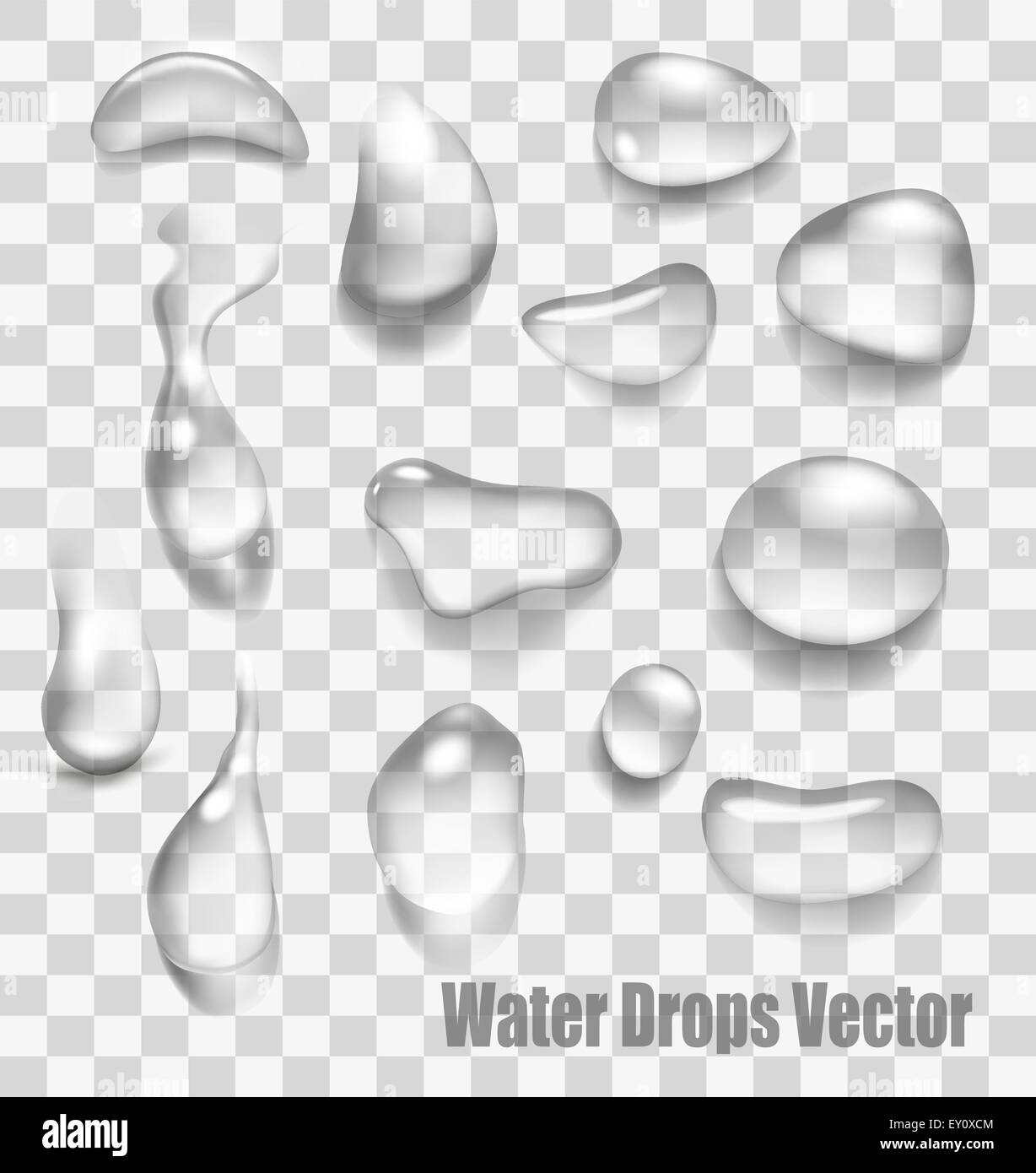 Drops of water on a transparent background. Vector Stock Vector Image ...