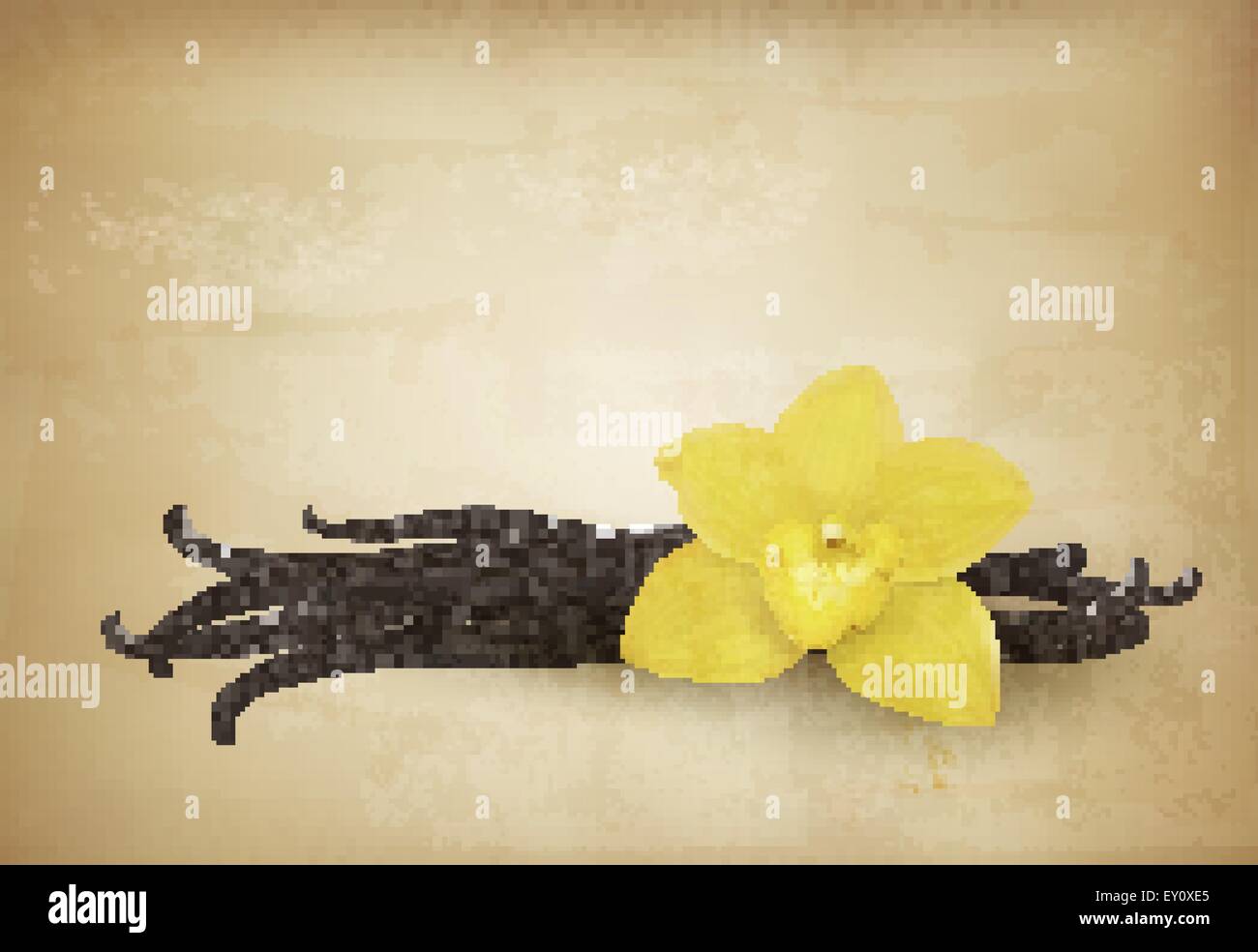 Vanilla retro background. Vector Stock Vector Image & Art - Alamy