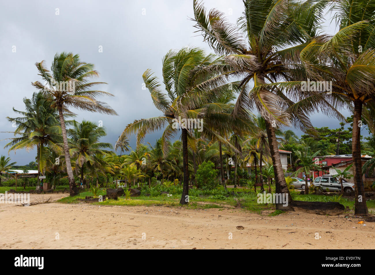 Windy tropical storm at Corn Island, Nicaragua Stock Photo - Alamy
