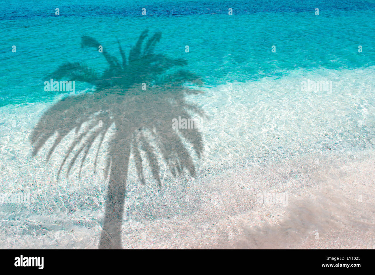 Palm shadow over turquoise water hi-res stock photography and images ...