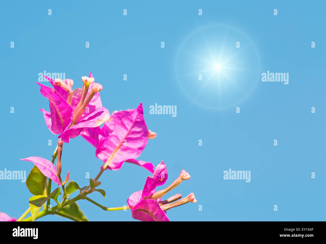 Ion beam hi-res stock photography and images - Alamy