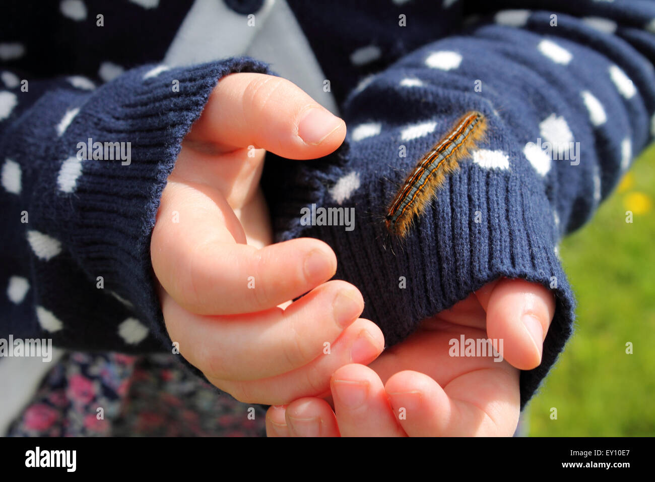 Little girl holding caterpillar, Cardiff, Wales. UK Stock Photo - Alamy