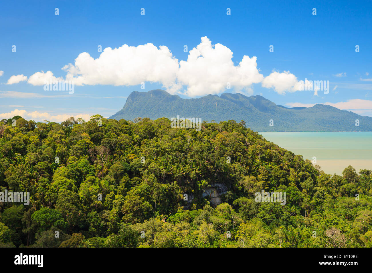 Jungle landscape hi-res stock photography and images - Alamy