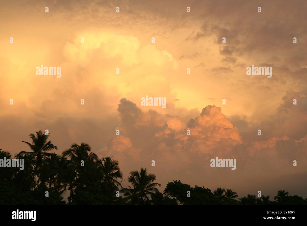 Dus hi-res stock photography and images - Alamy