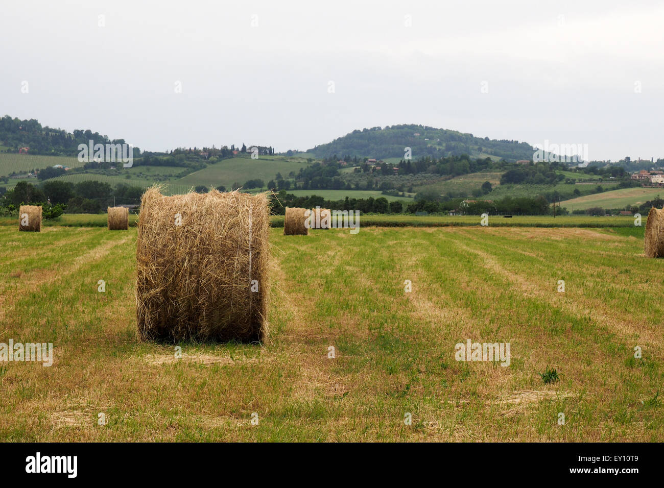 Rolled haystacks hi-res stock photography and images - Alamy