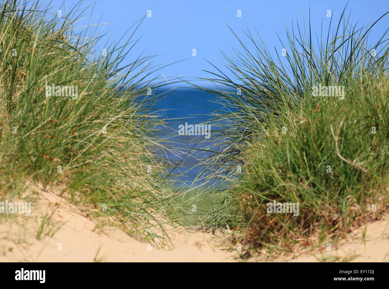 Gap in the dunes with the sea visible beyond Stock Photo - Alamy
