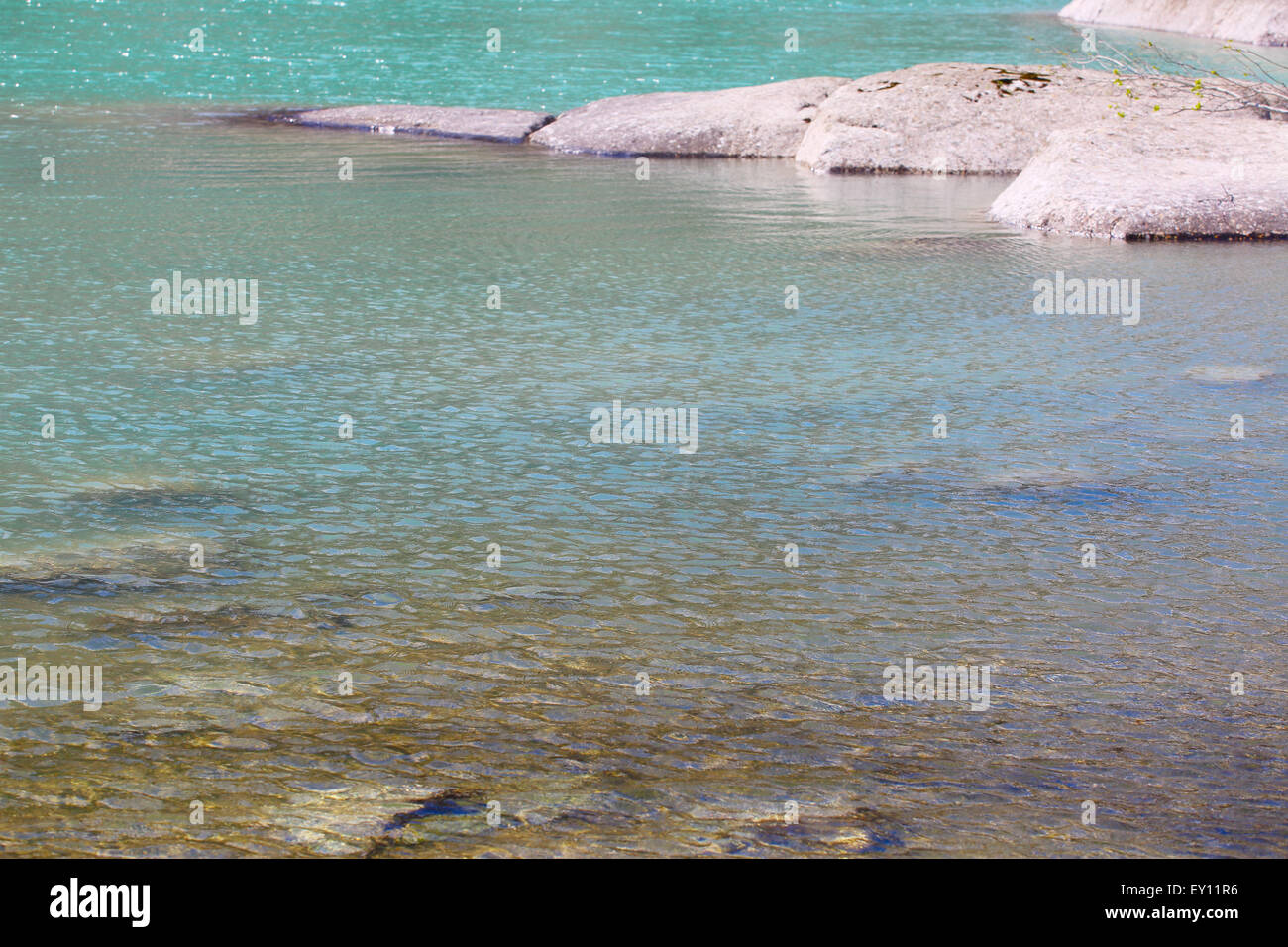 Stones in pure blue glacial river in Norway Stock Photo - Alamy