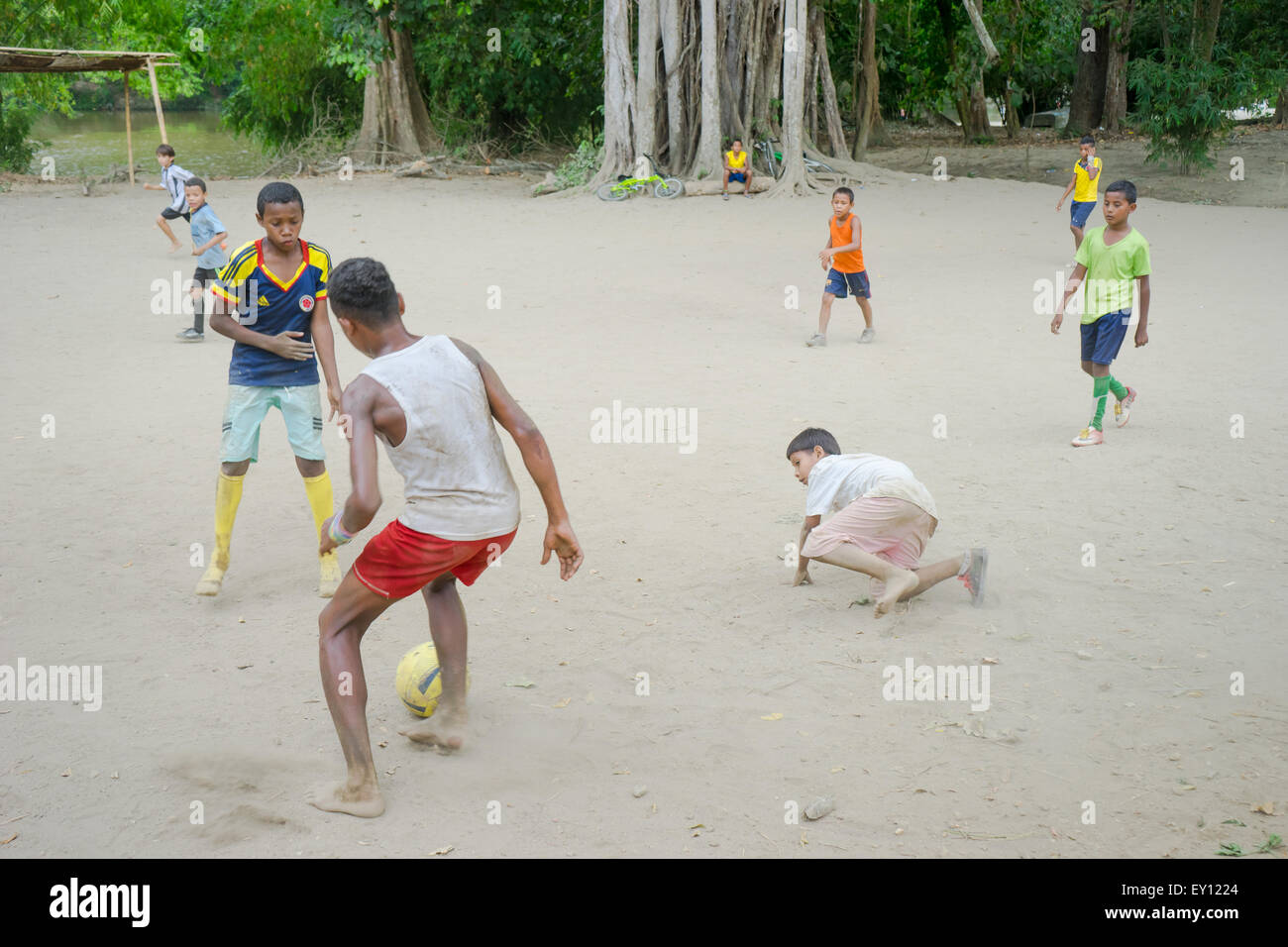 Colombian boys playing football (soccer) under a banyan tree by the ...