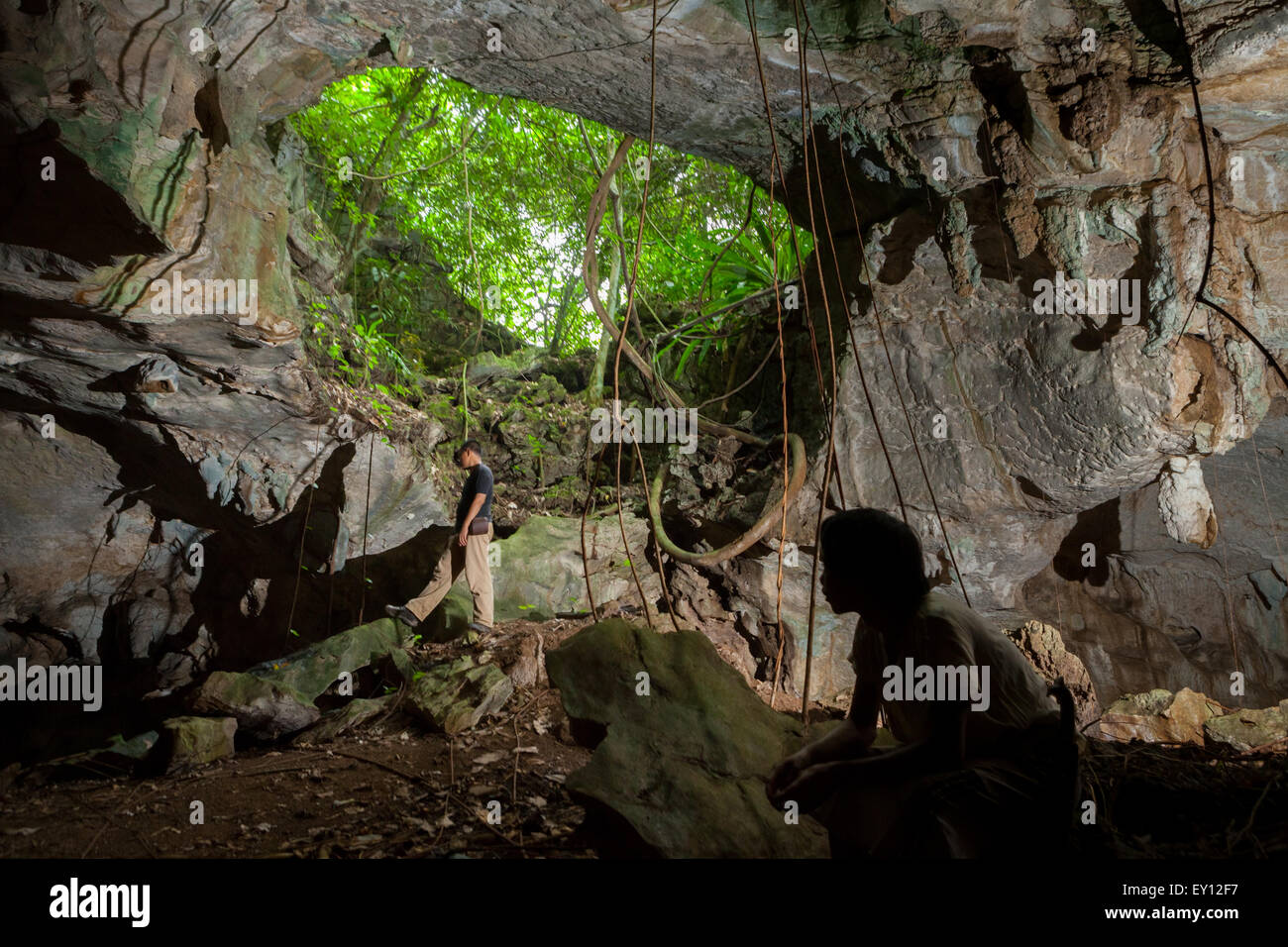 Karst limestone rocks hi-res stock photography and images - Alamy