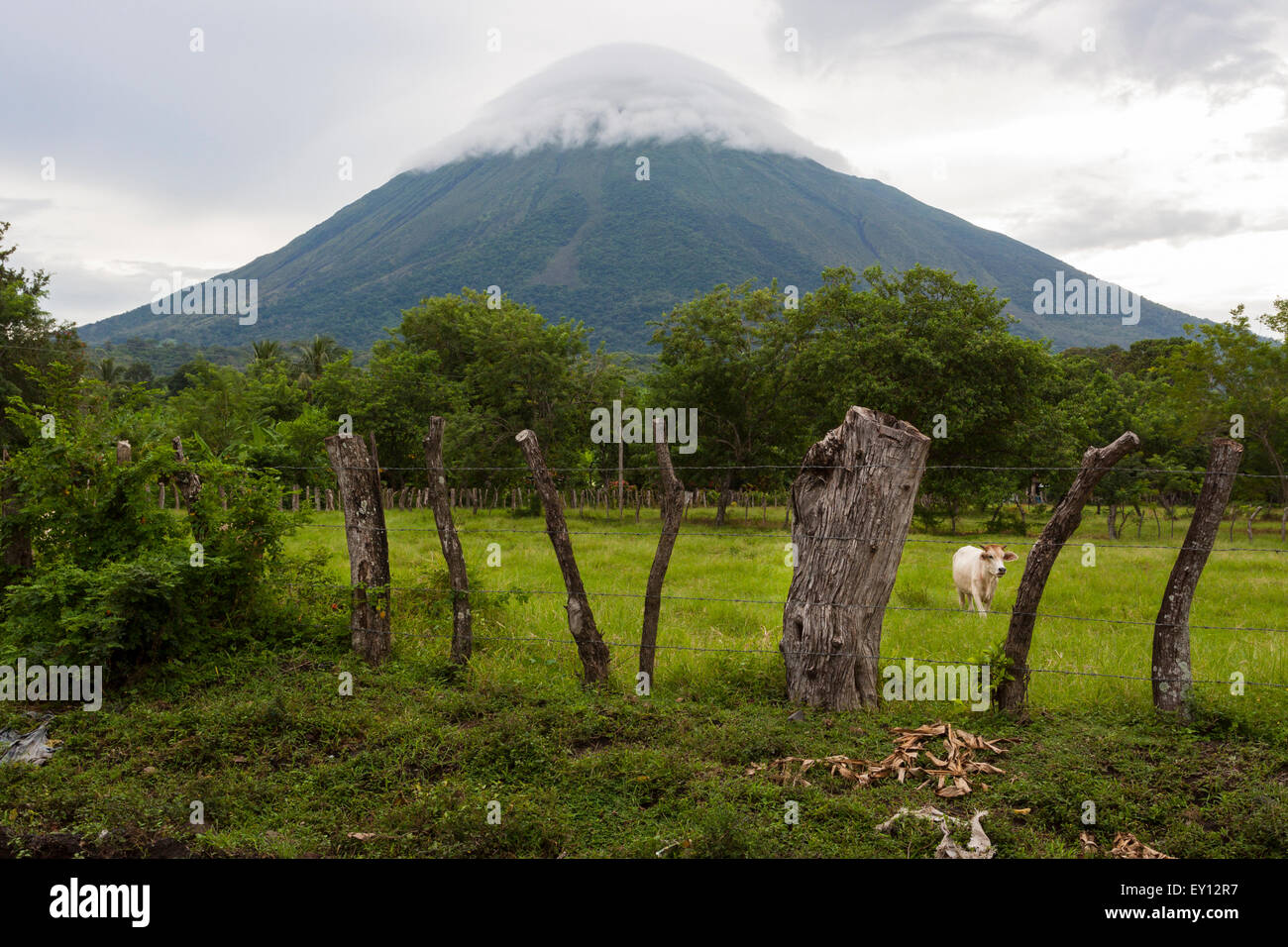 Active Concepción volcano in Ometepe Island, Nicaragua Stock Photo - Alamy