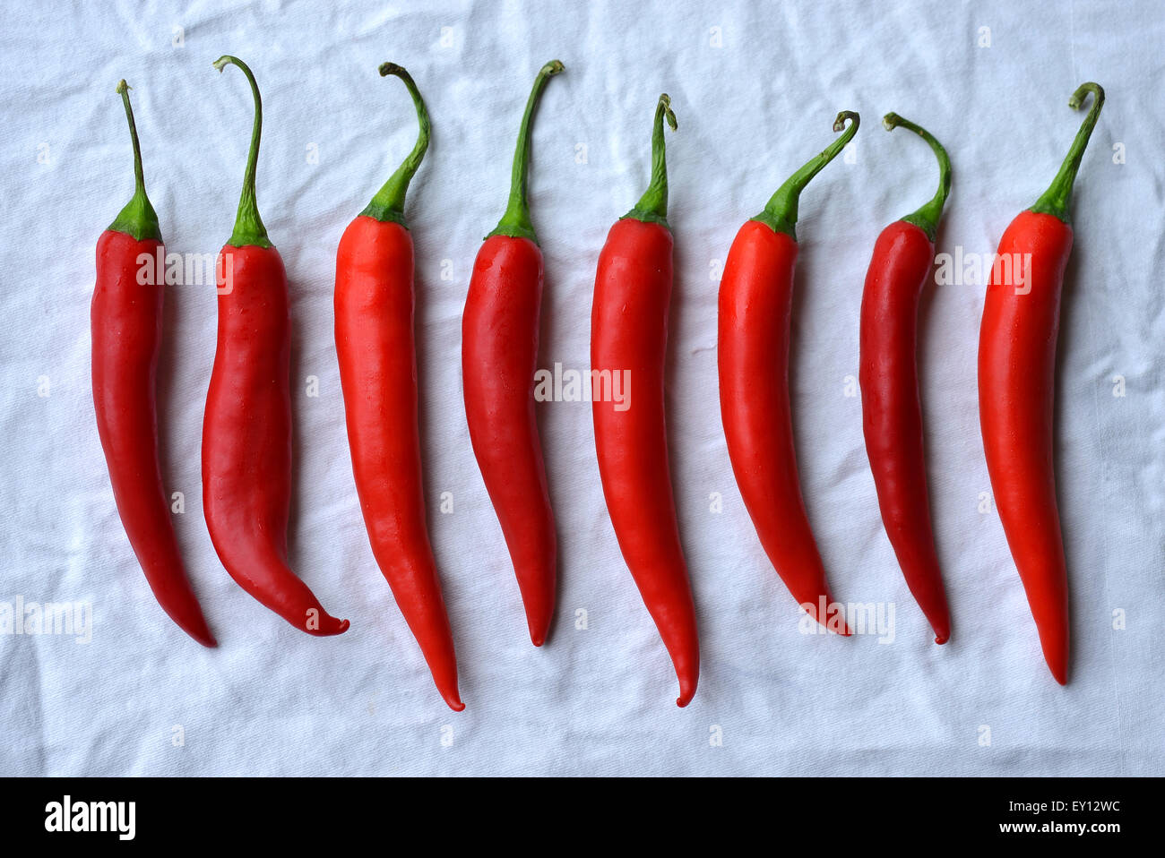 Chilli peppers selection hi-res stock photography and images - Alamy