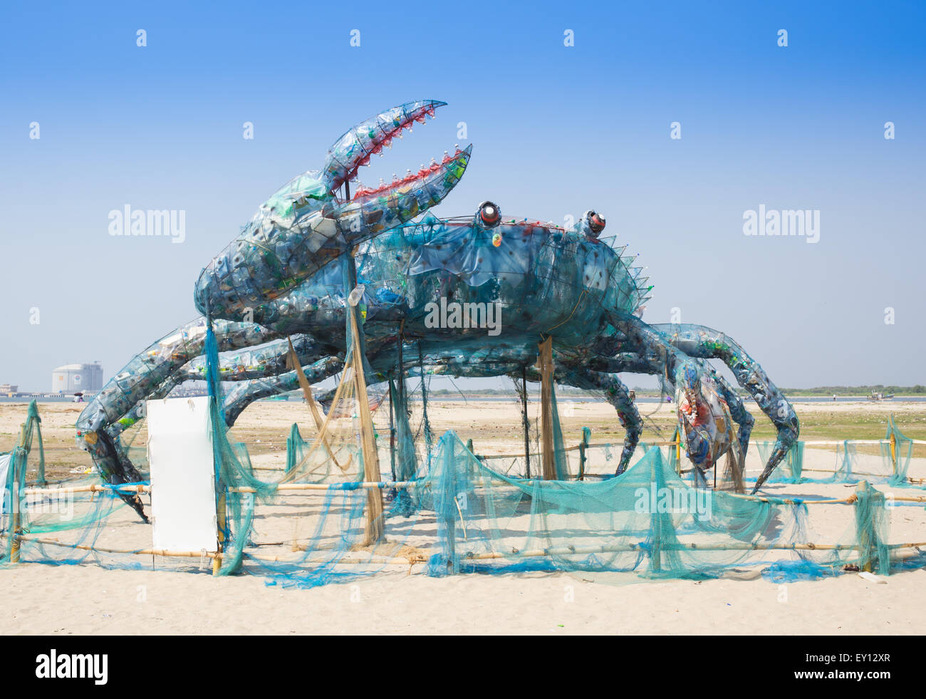 Crab maryland beach hi-res stock photography and images - Alamy