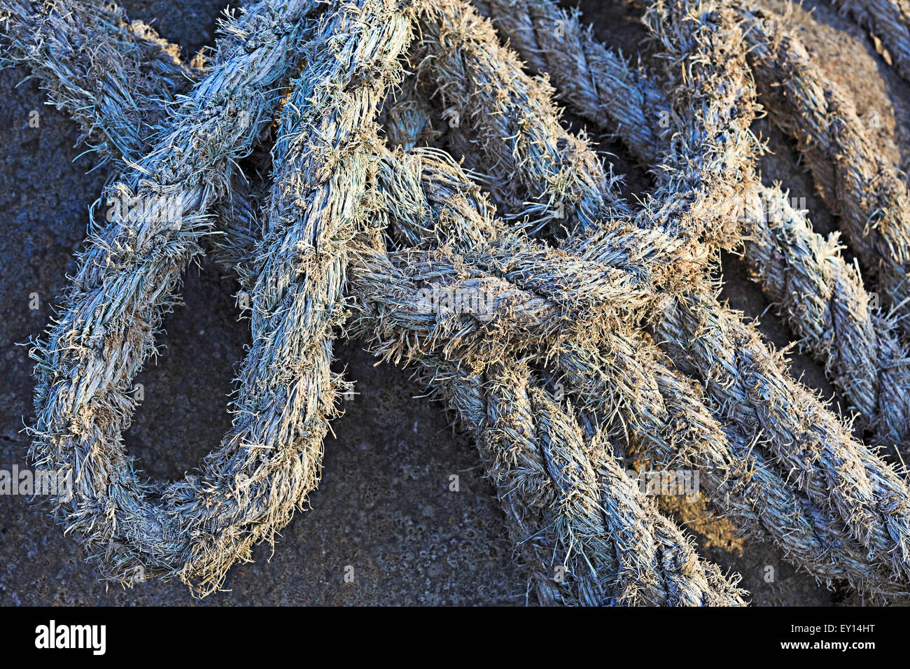 Old frayed mooring rope abandoned on dock, Nanaimo, Vancouver Island ...