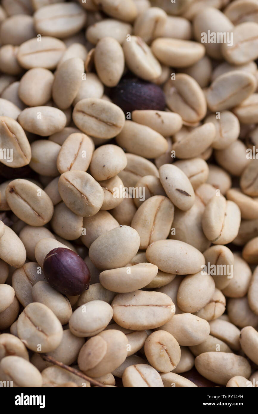 Roasted and unroasted coffee hi-res stock photography and images - Alamy
