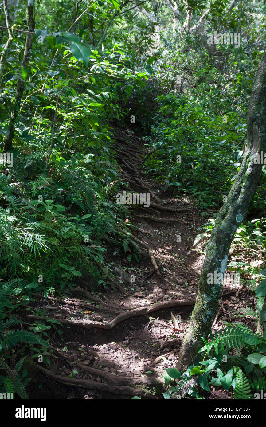Maderas volcano nicaragua trail hi-res stock photography and images - Alamy