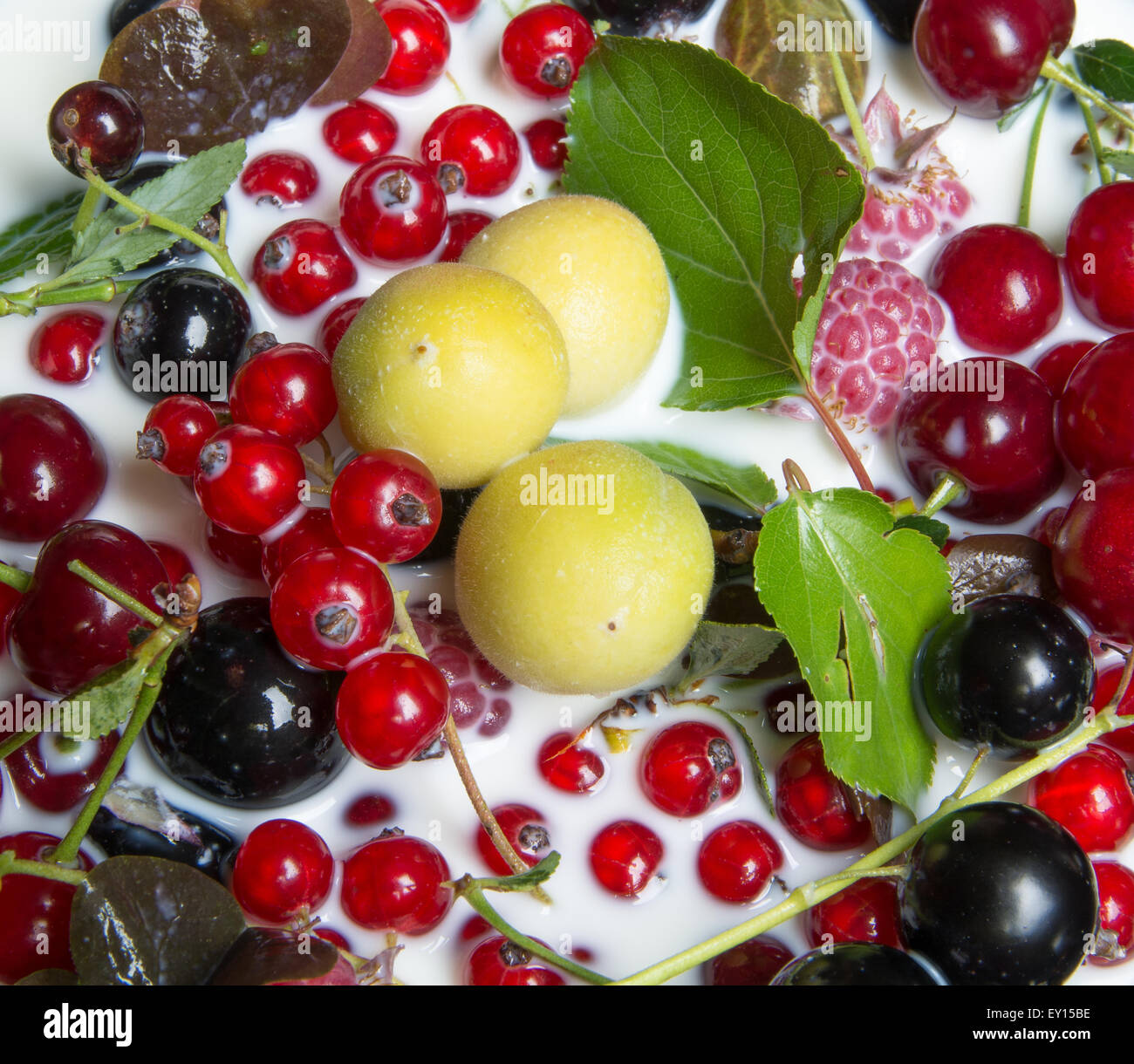 summer fresh fruits and berries in milk Stock Photo - Alamy