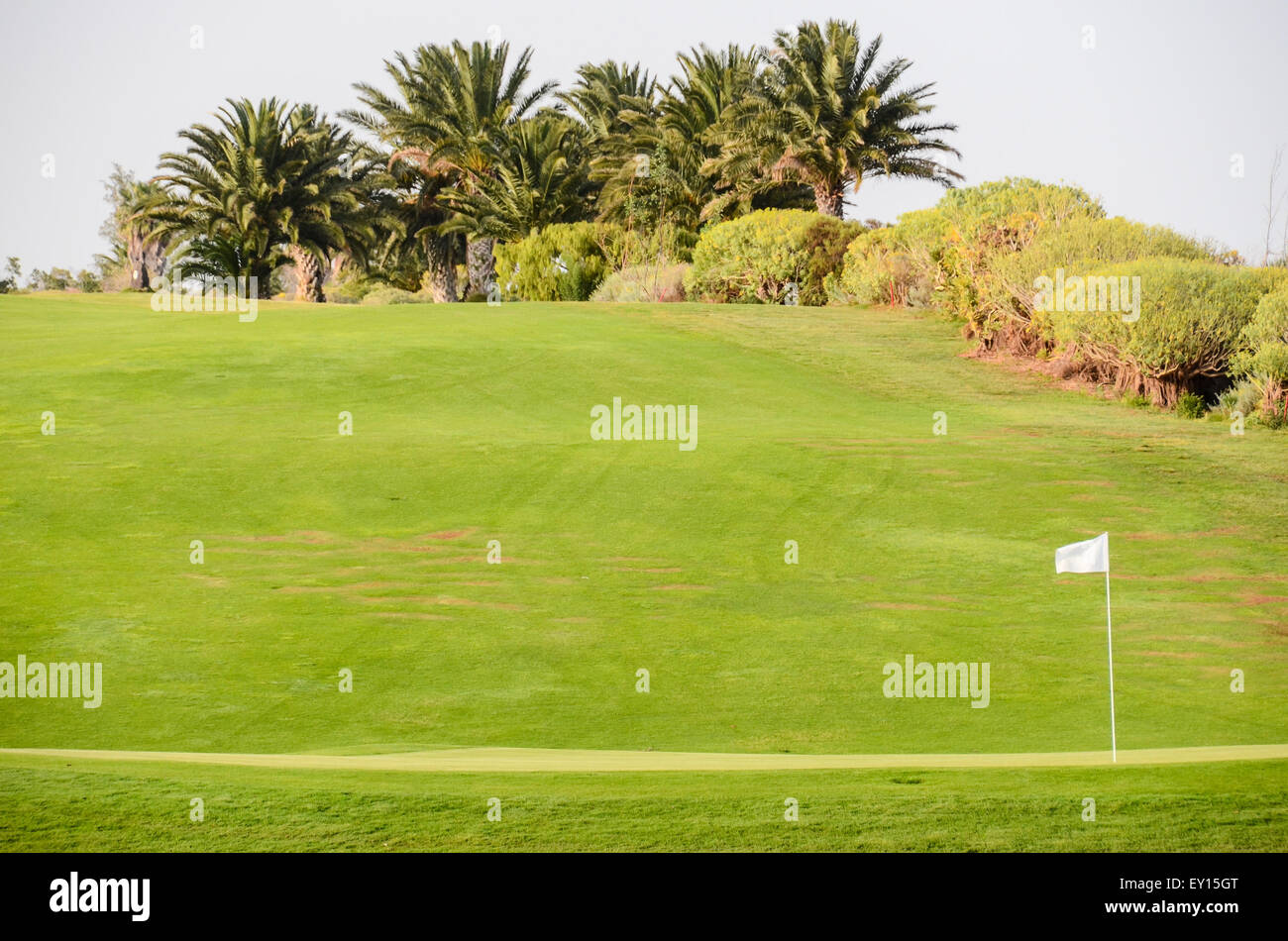 Golf Green Grass Fiel Stock Photo - Alamy