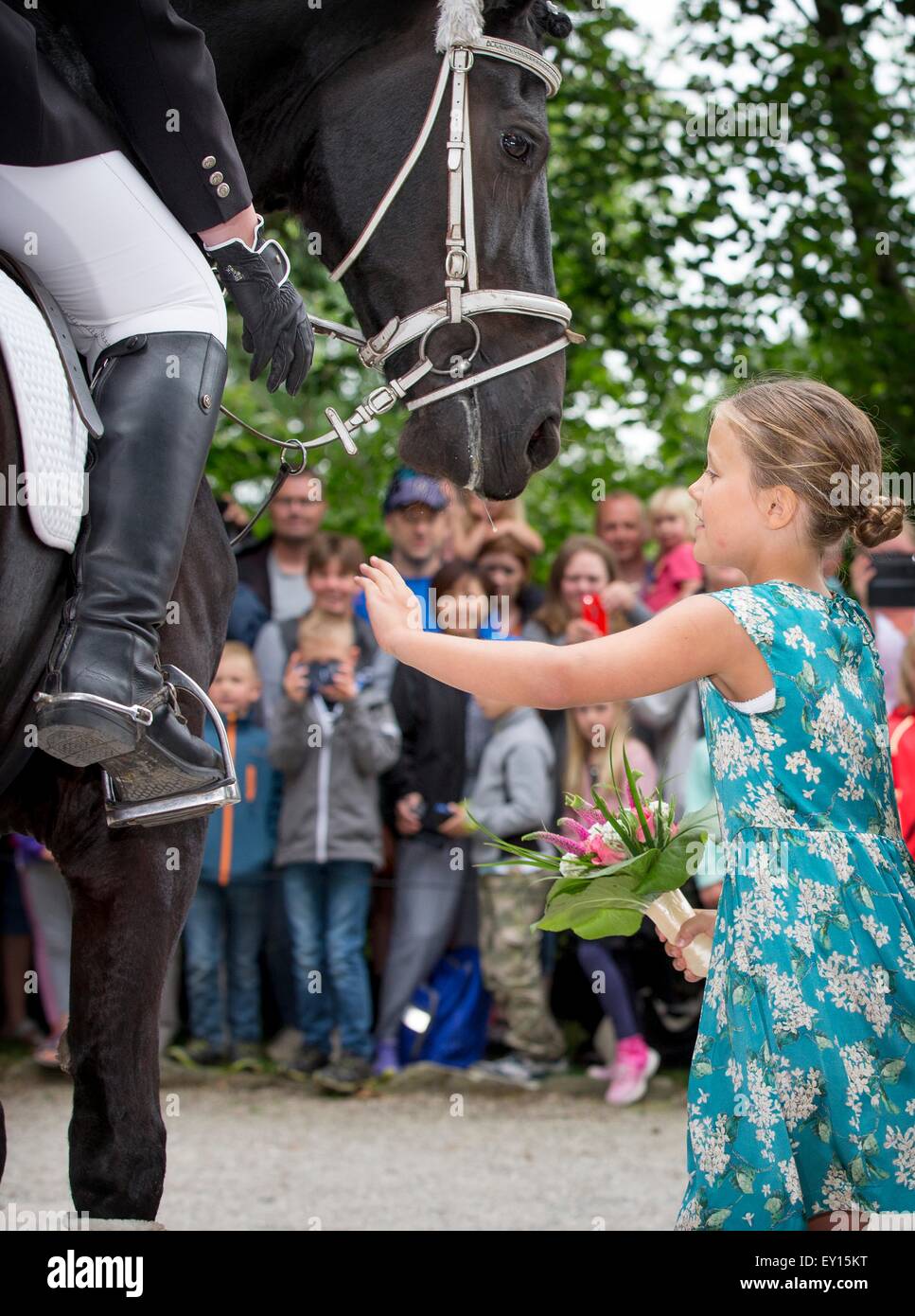 Isabella Horse High Resolution Stock Photography and Images - Alamy