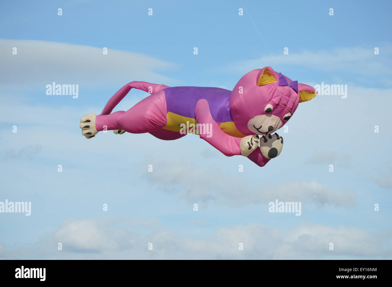 Colourful giant inflatables tethered to large kites flew over Aintree ...