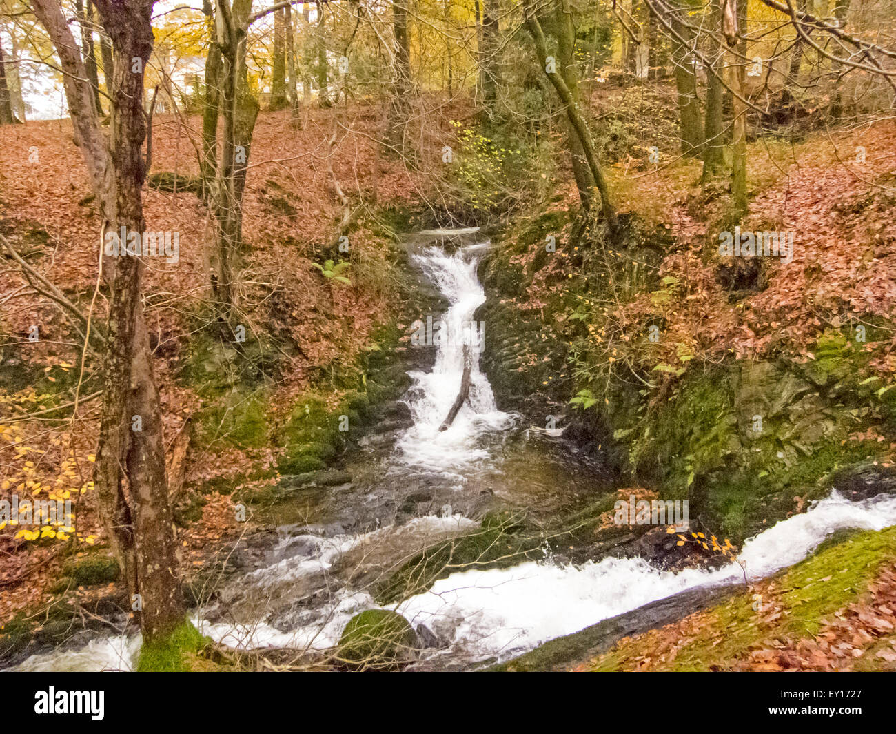 Mill beck divides and forms two small waterfalls, within the woods ...