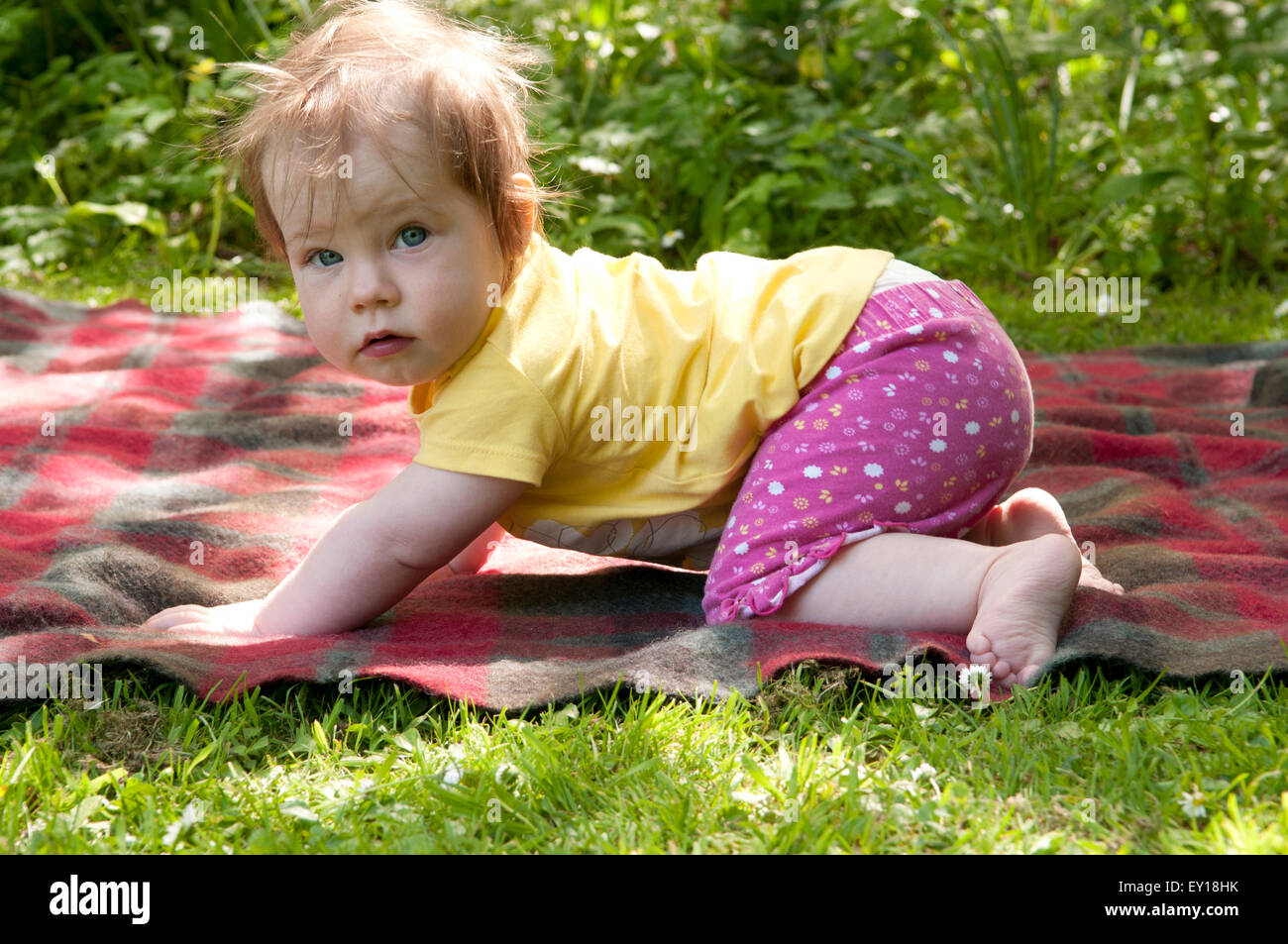 Portrait of a baby girl outdoors trying to crawl, looking at the camera ...