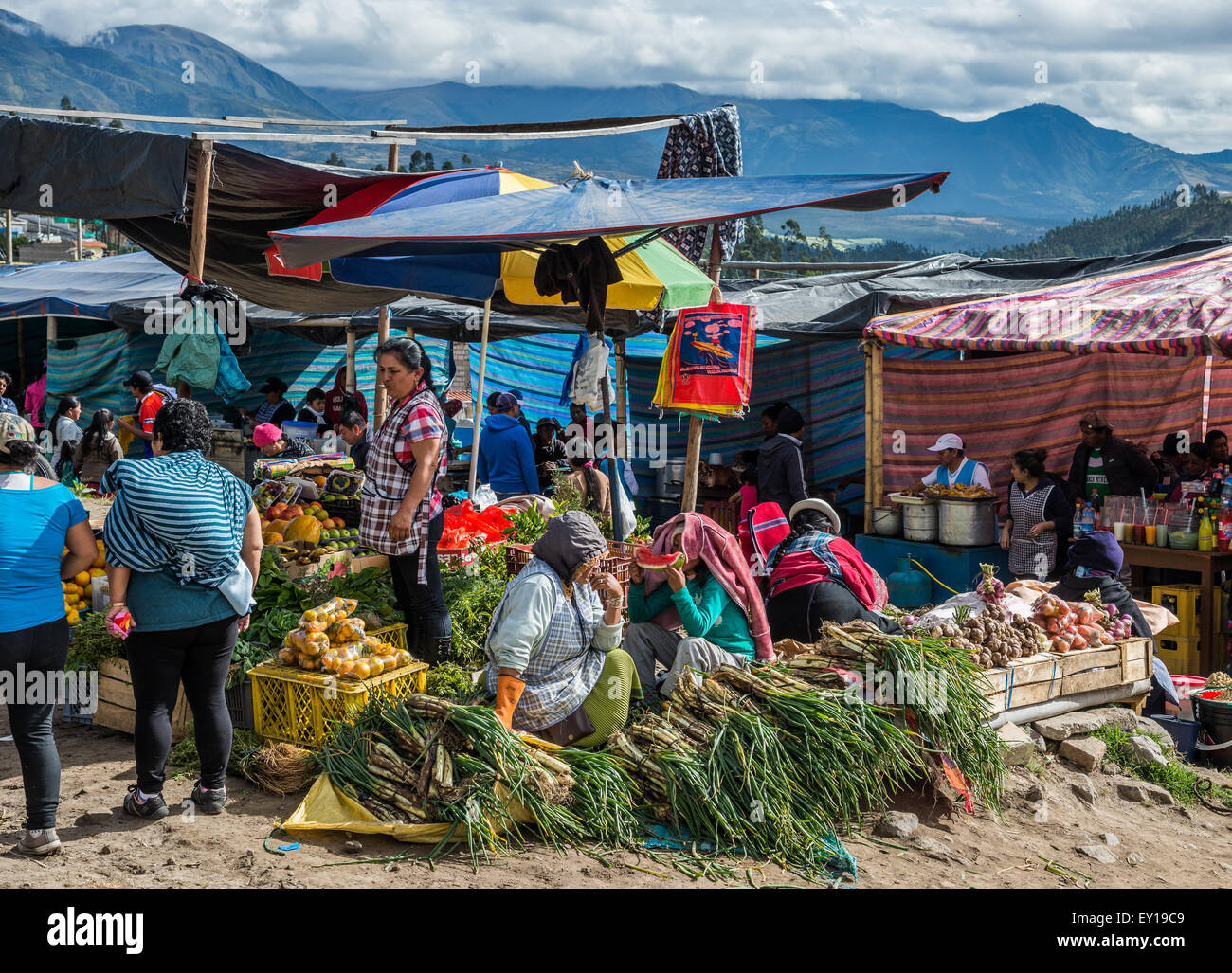 Vegetable stands hi-res stock photography and images - Alamy