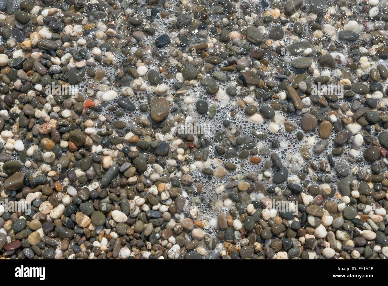 Close-up view of wet beach pebble of various colors in bubbles of surf ...