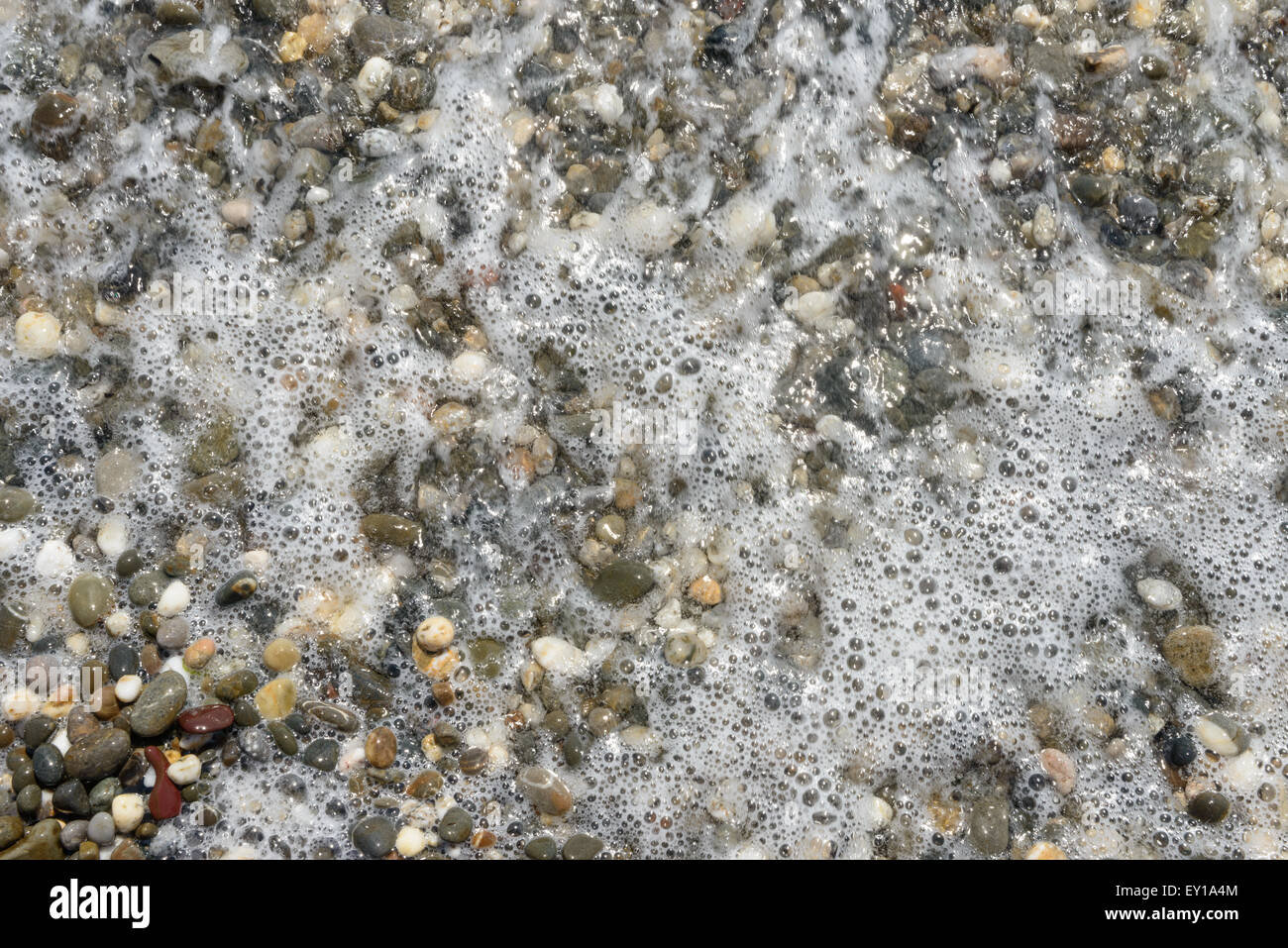 Close-up view of wet beach pebble of various colors under bubbles of ...