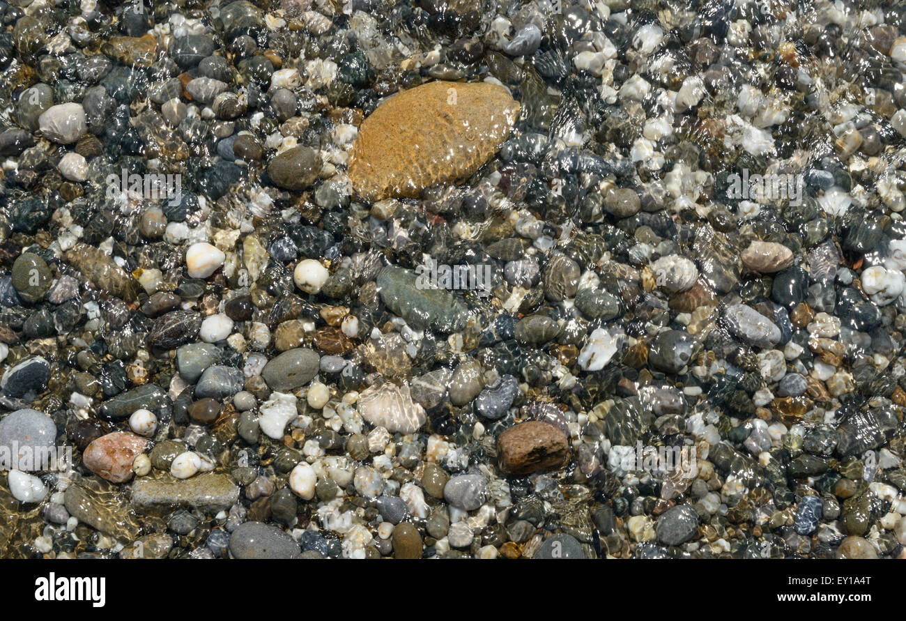 Close-up view of wet multicolored pebble of sea beach under clear water ...