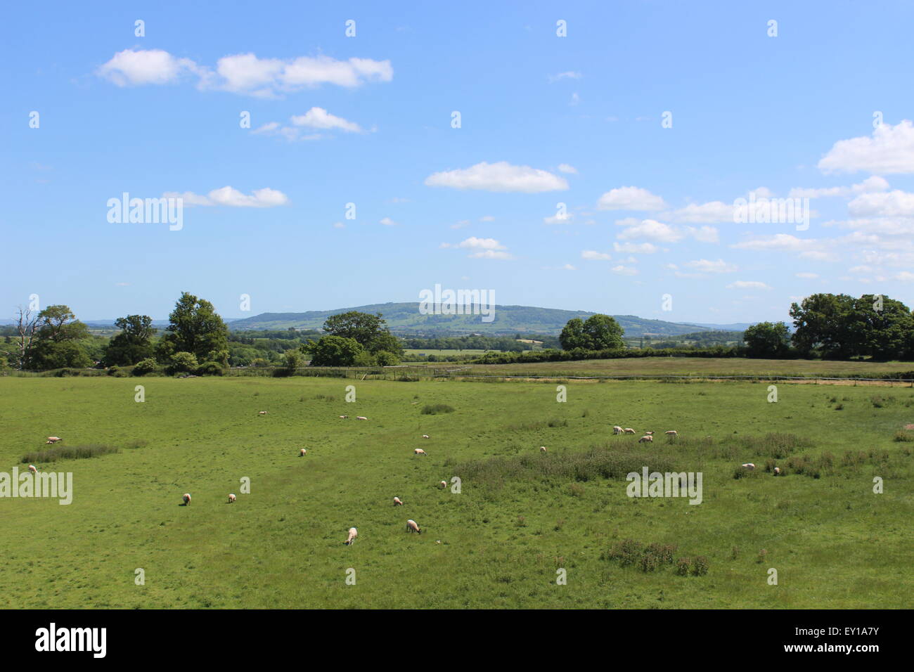Croome Estate, Panorama Tower Stock Photo - Alamy