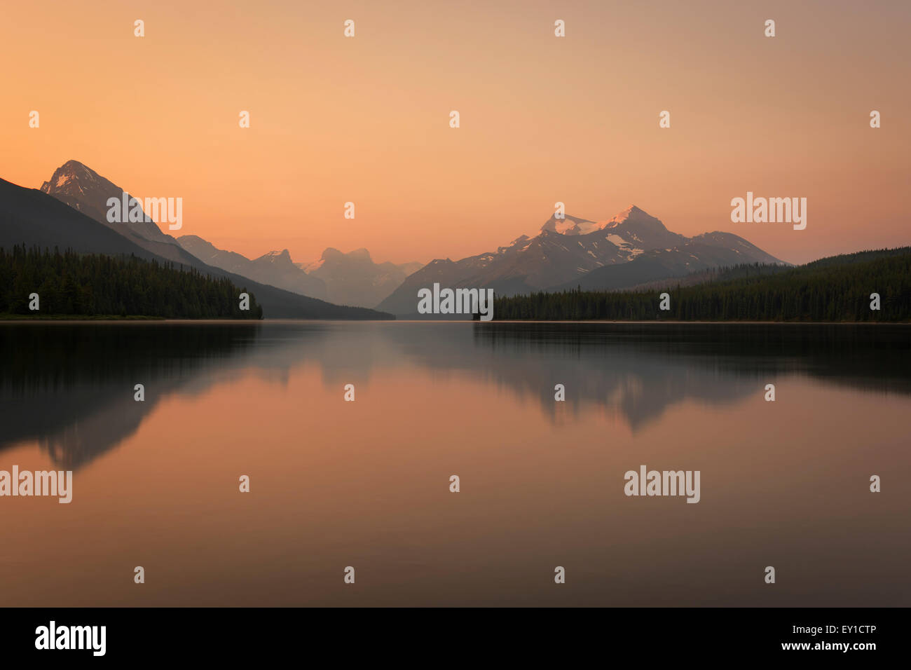 Malinge hi-res stock photography and images - Alamy