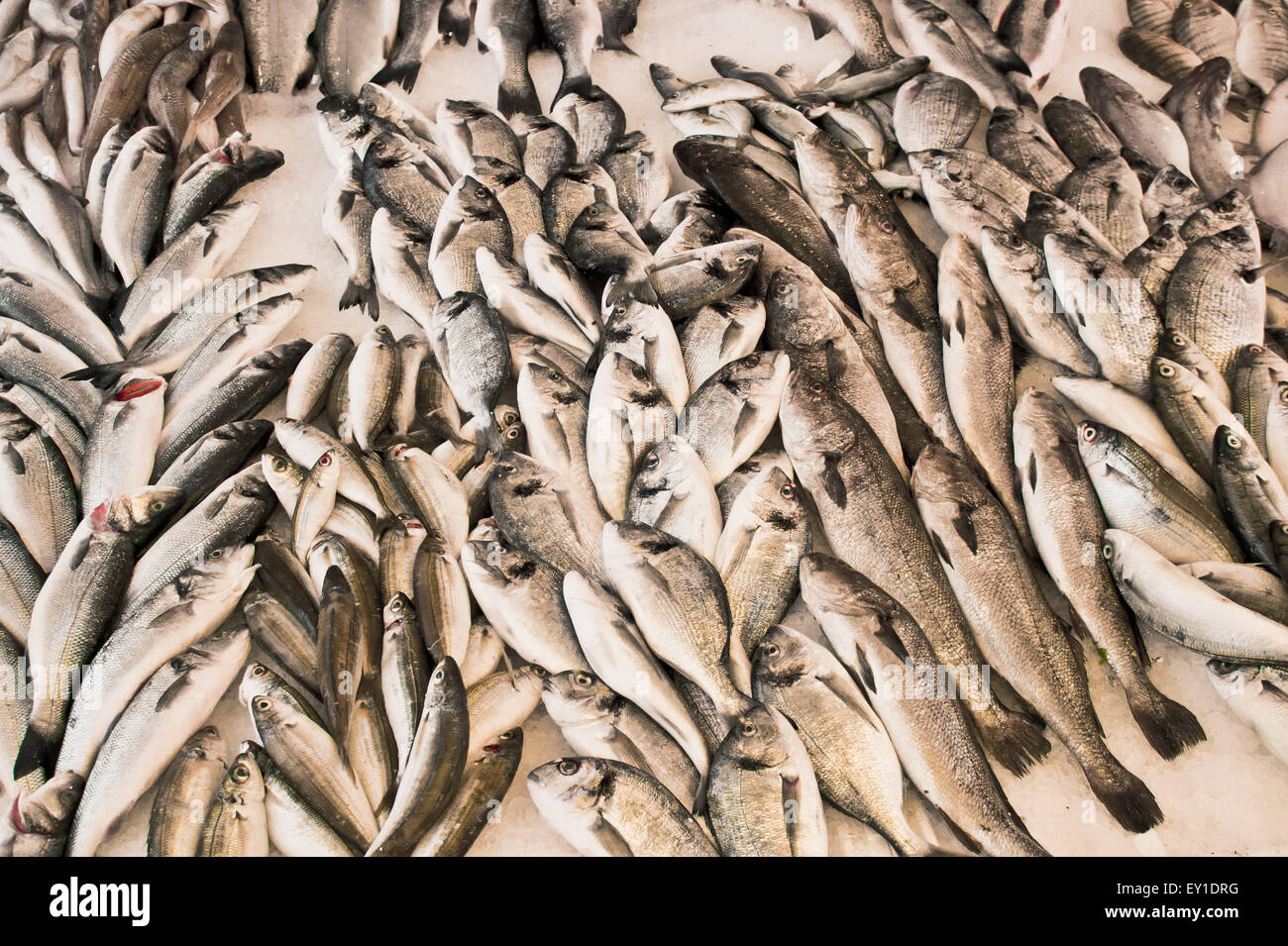 Fresh white fish hi-res stock photography and images - Alamy