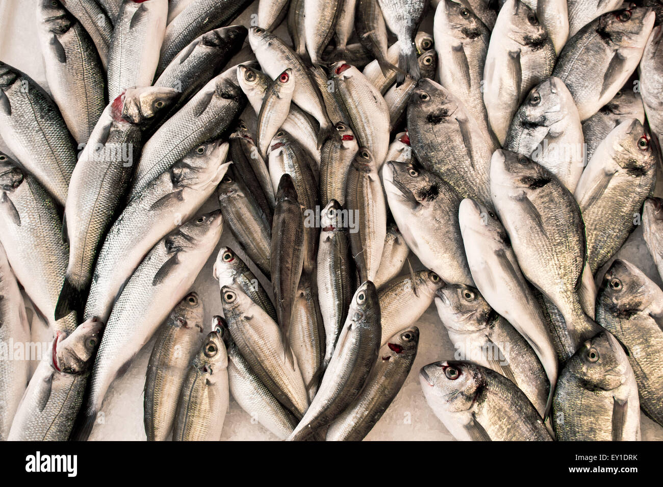 Fresh white fish at a market Stock Photo - Alamy