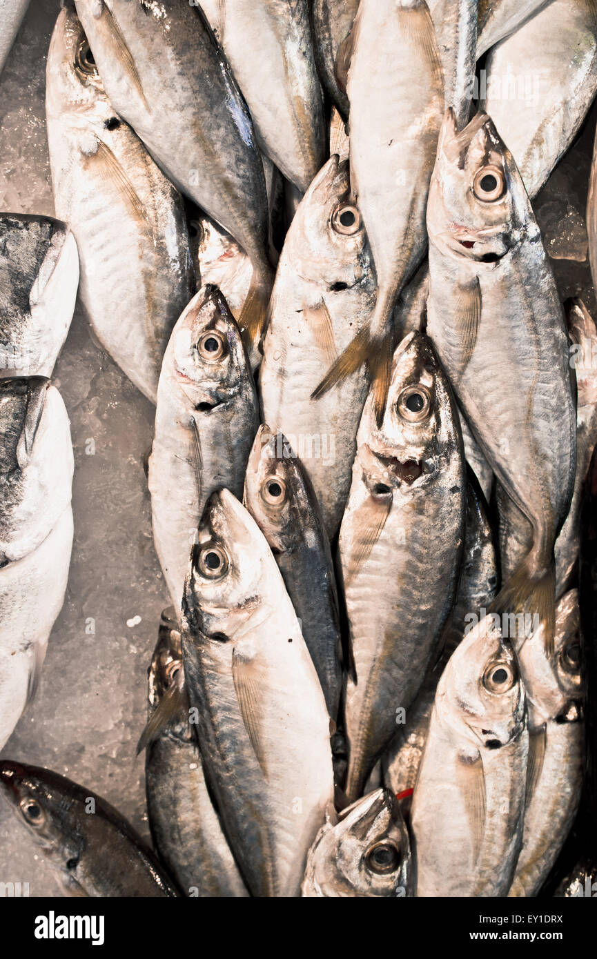 Fresh white fish at a market Stock Photo - Alamy