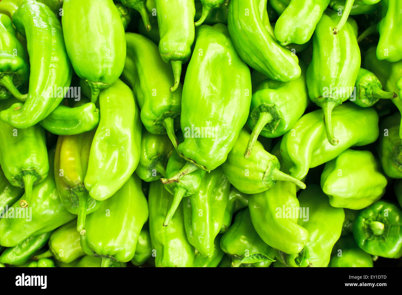 Fresh green chilies spicy harvest hi-res stock photography and images ...