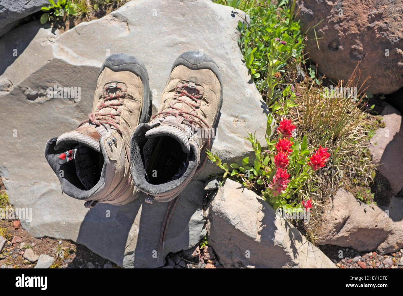 Old hiking boots hi-res stock photography and images - Alamy