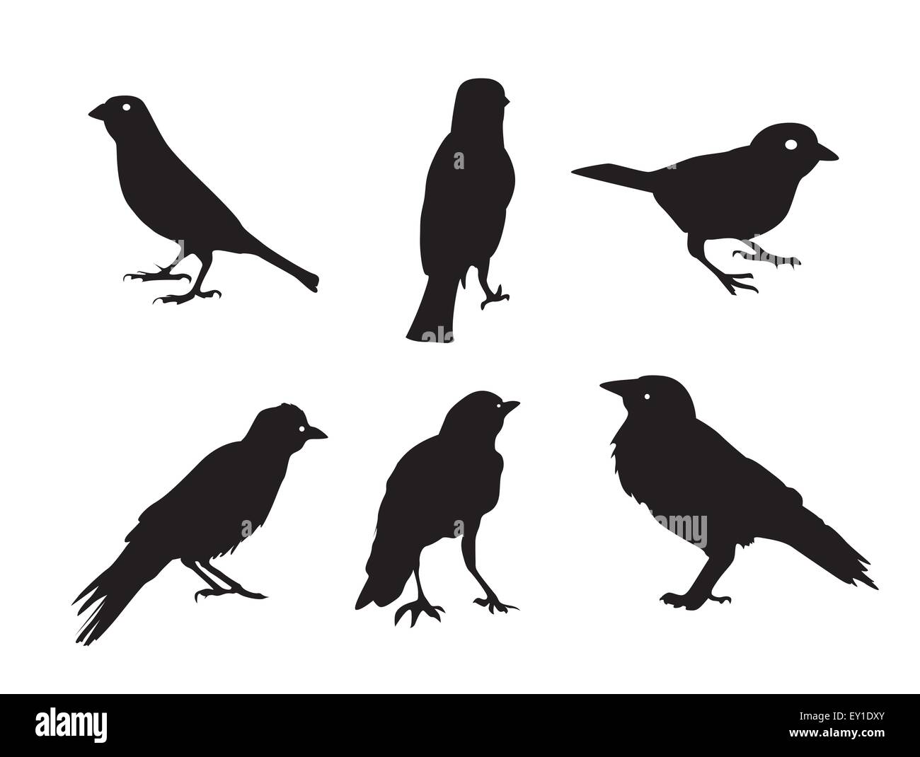 Birds flying v formation Stock Vector Images - Alamy