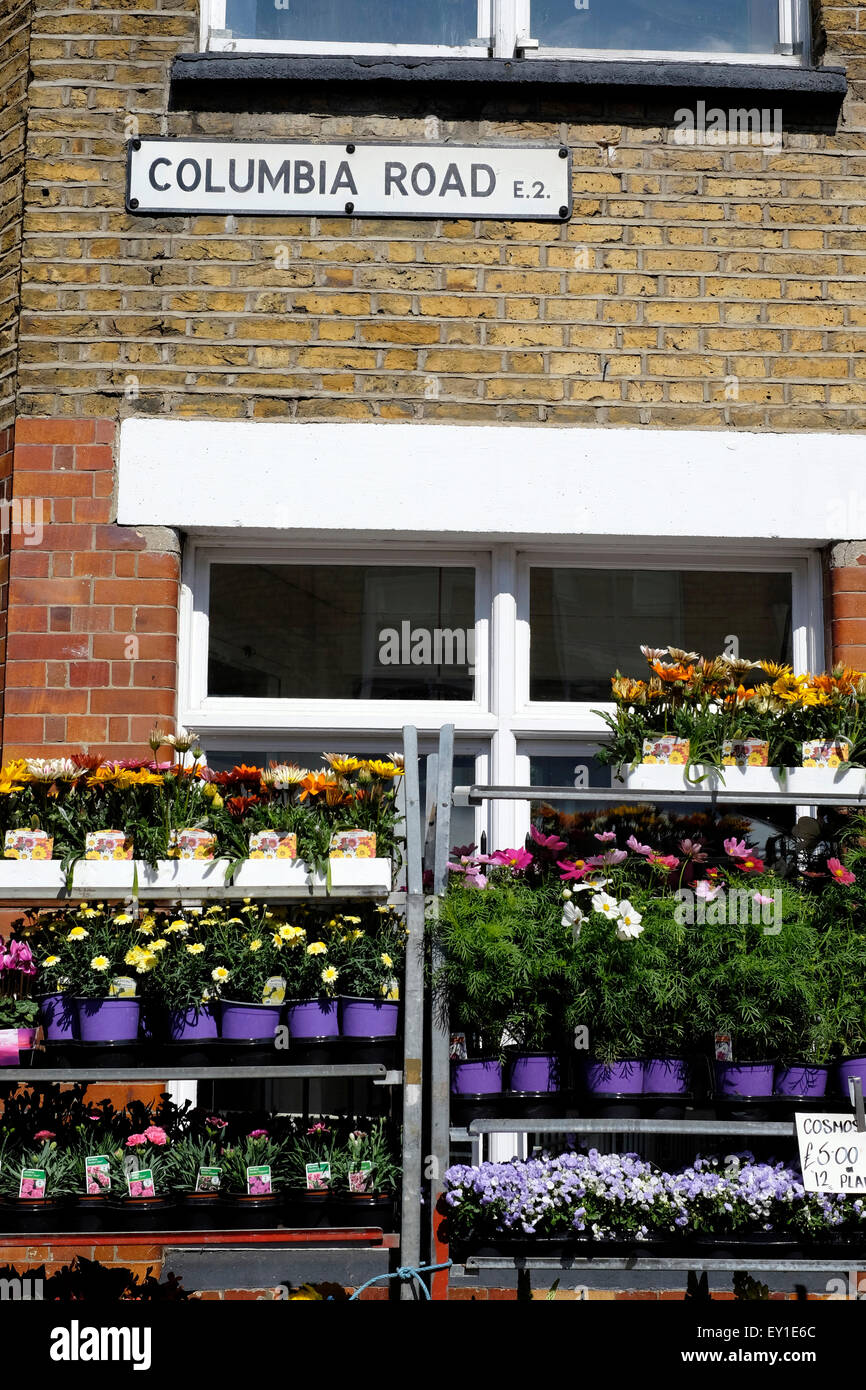 Road sign flowers hi-res stock photography and images - Alamy