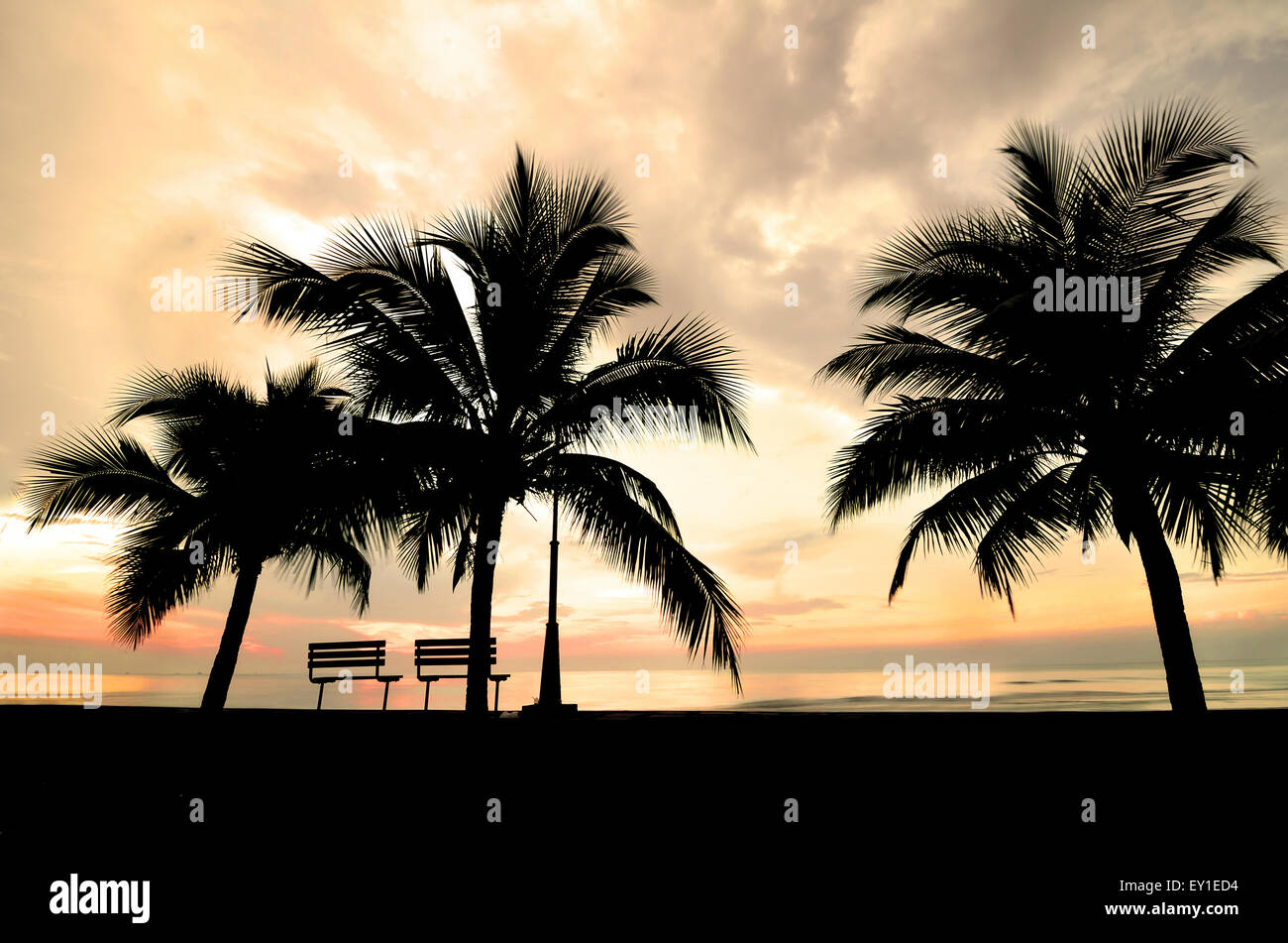 Silhouette of bench and coconut tree near the beach when sun rising ...
