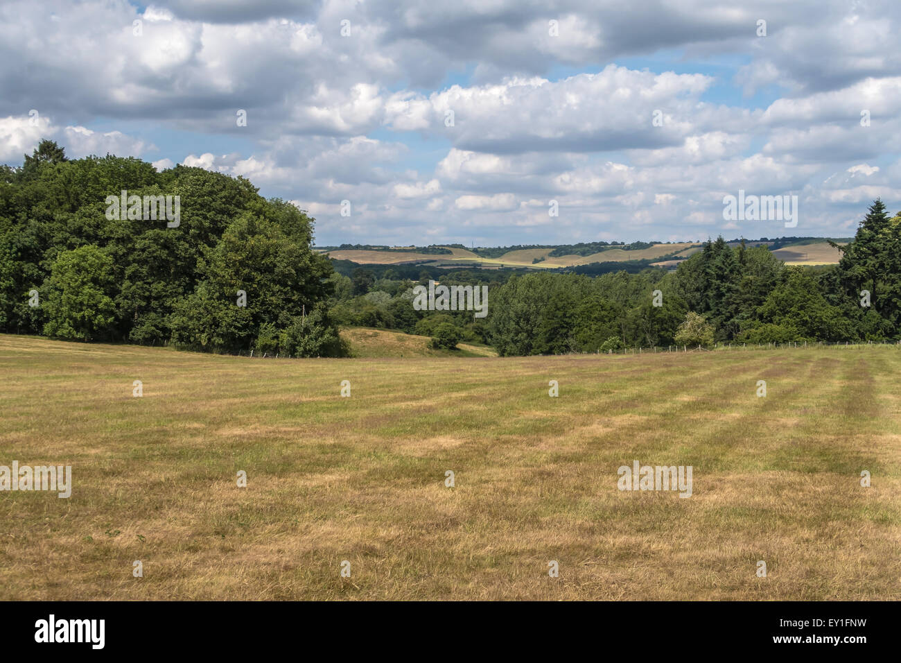 Leeds village kent hi-res stock photography and images - Alamy