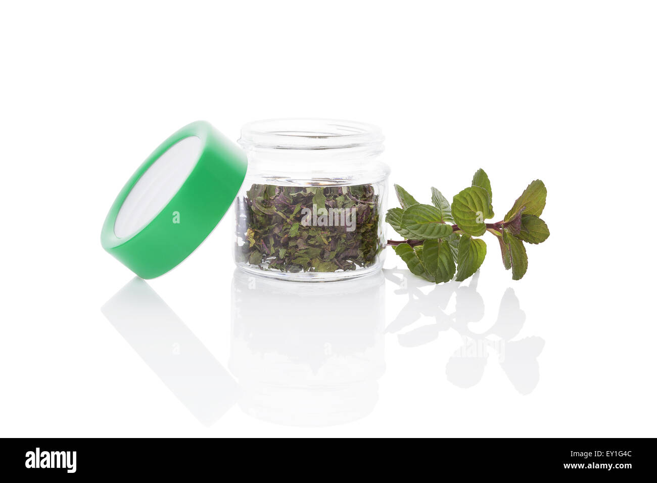Fresh mint and dry mint tea in glass jar isolated on white background ...