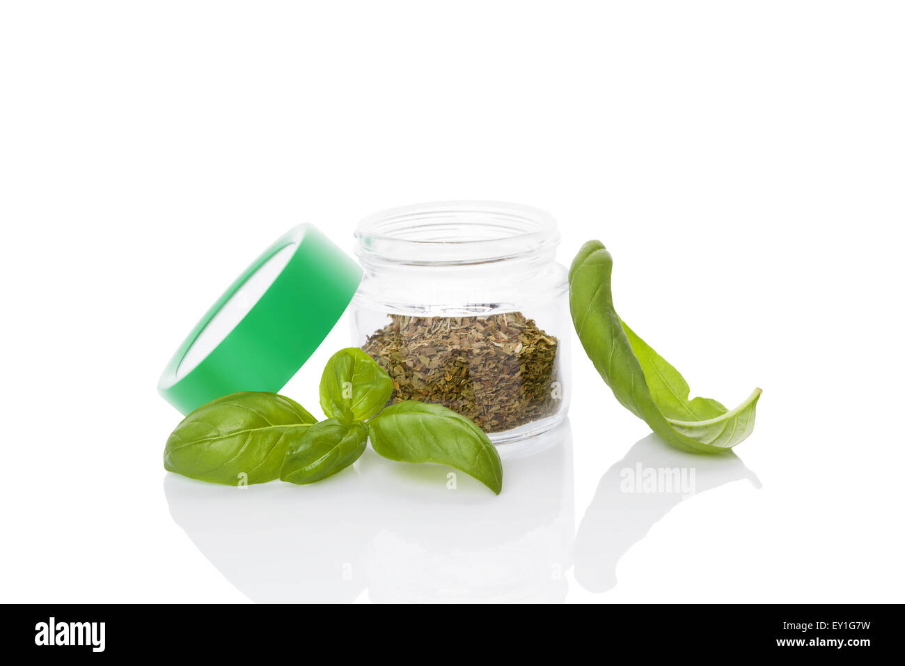 Fresh basil herb and dry basil spice in glass jar isolated on white ...