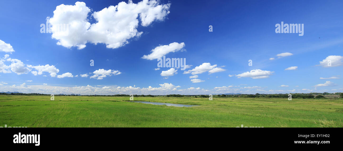 grass field with blue sky and cloud (panorama view Stock Photo - Alamy