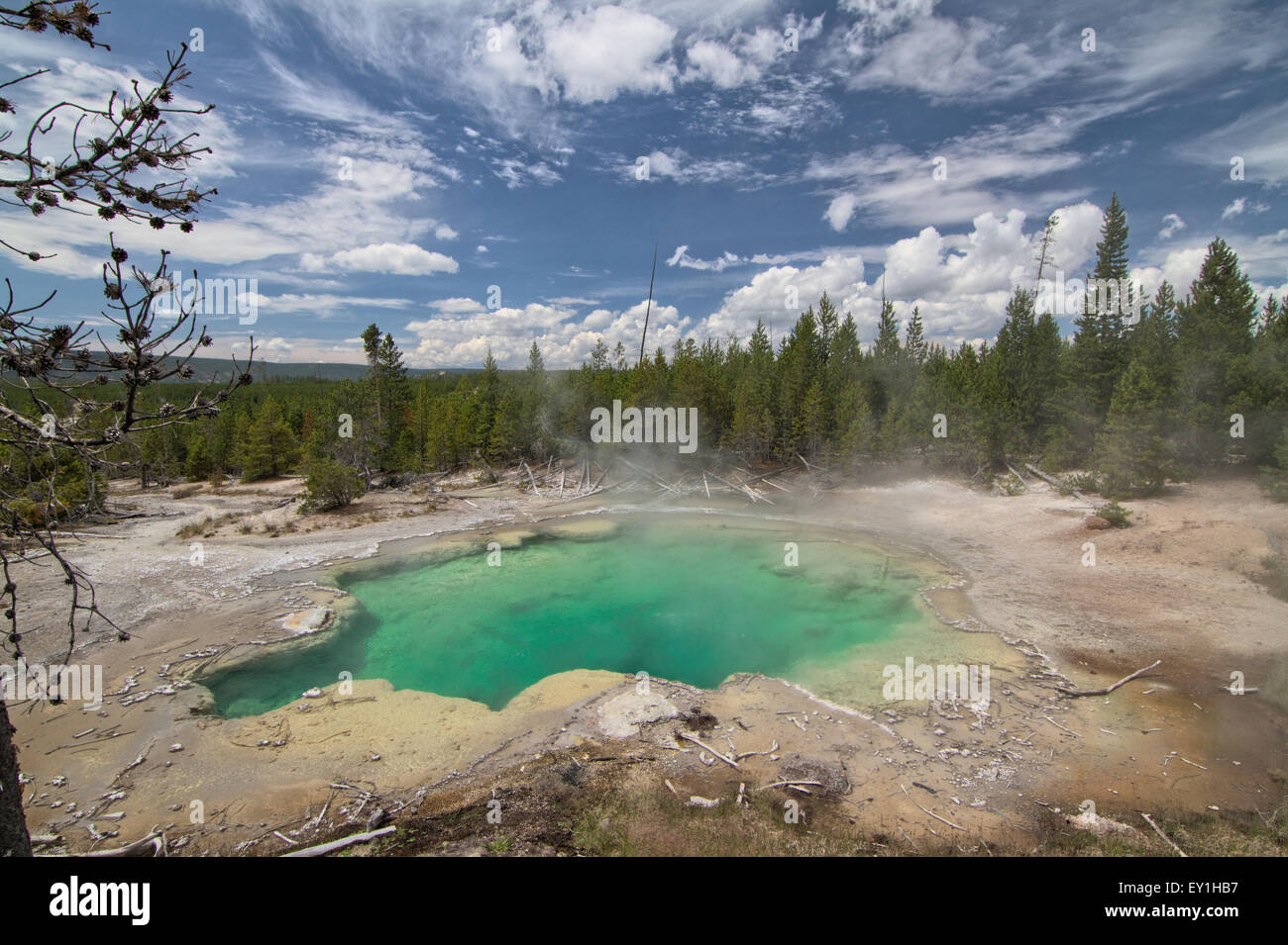 Cistern Pool in the Norris Geyser Basin, Yellowstone National Park ...