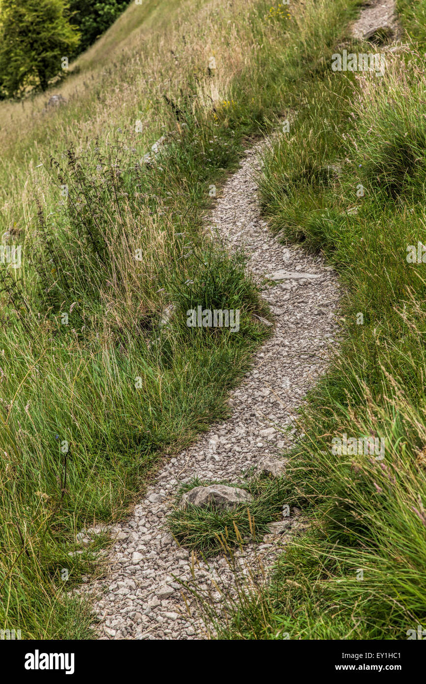 Windy limestone path in the tall grasses in Lathkilldale the valley of ...
