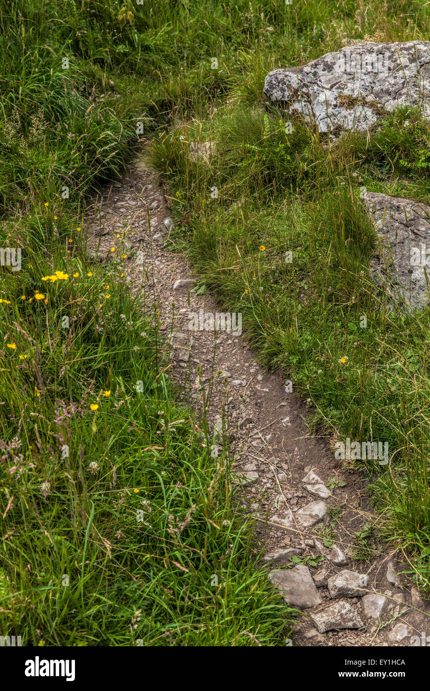 Section of limestone path in Lathkilldale the valley near Monyash in ...