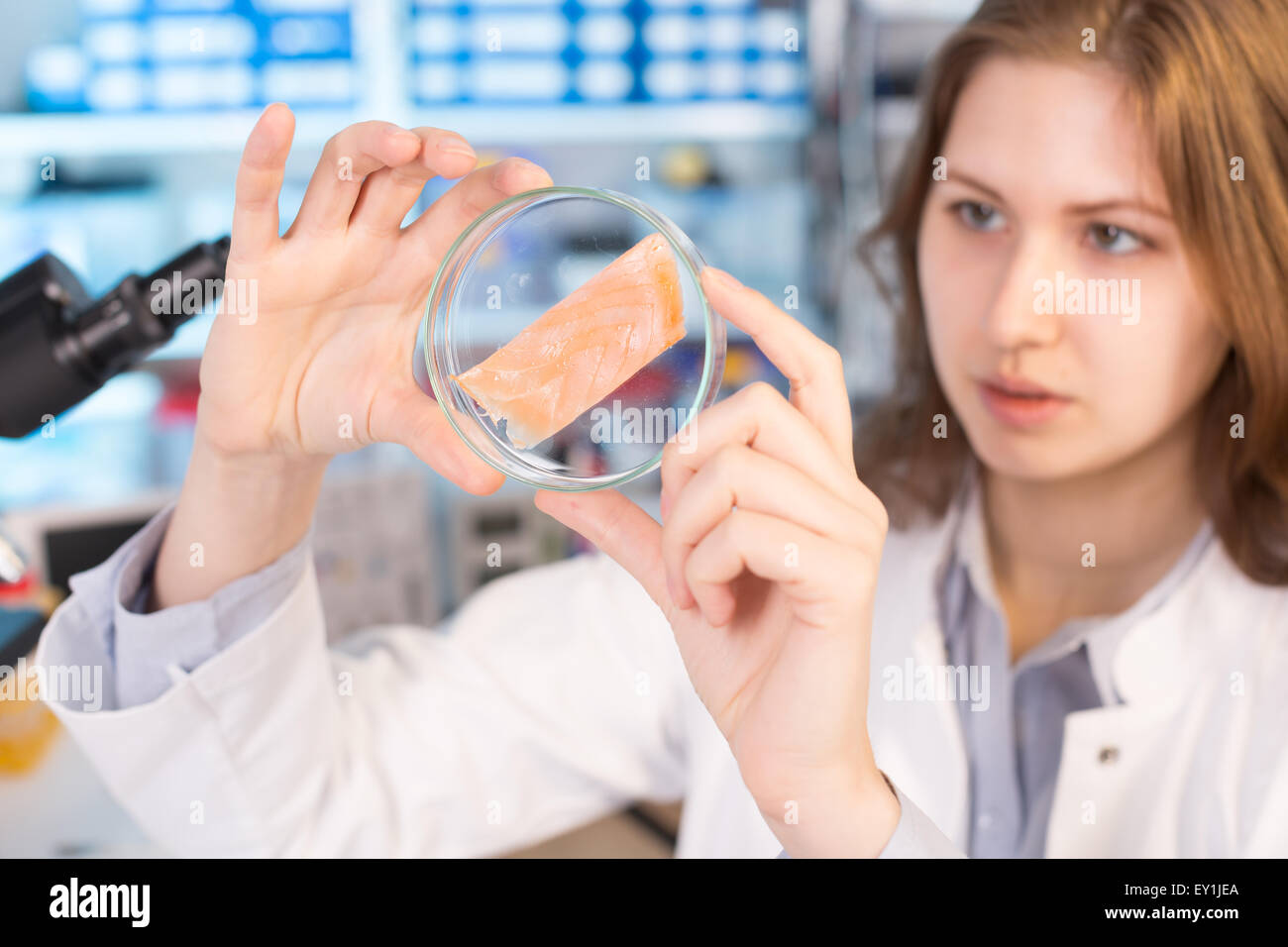 Technician woman In the laboratory tests the food quality Stock Photo ... Technician woman In the laboratory tests the food quality Stock Photo ...